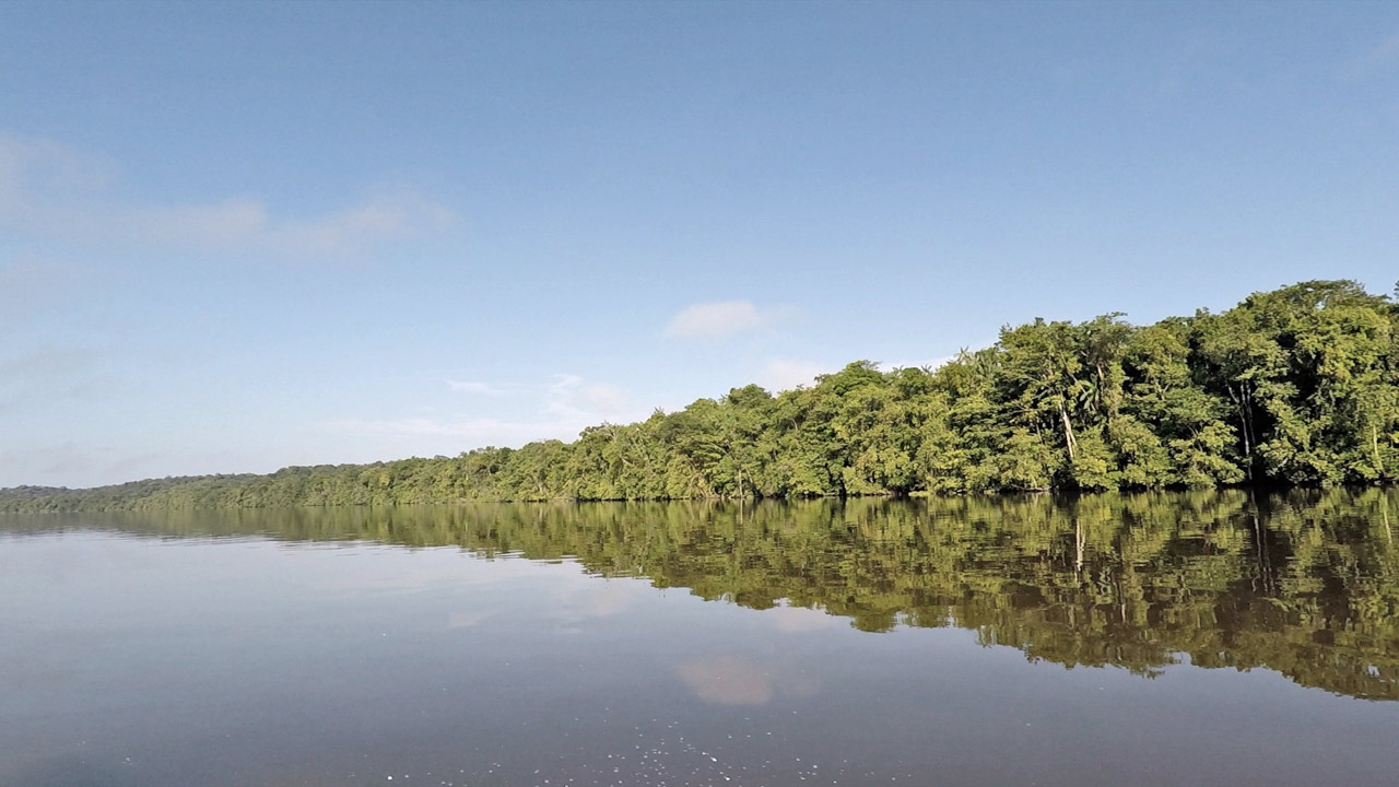 Expédition jungle amazonienne - Christophe Le Saux